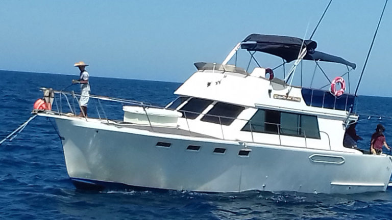 Deep Sea Fishing Charters In Rocky Point Mexico | Puerto Penasco Fishing